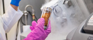 What is Accelerated Shelf Life Testing and Why is it Important ...